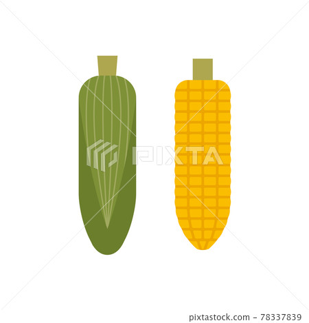 Corn with skin and corn without skin - Stock Illustration [78337839 ...