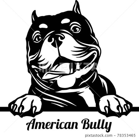 American Bully Head Drawings