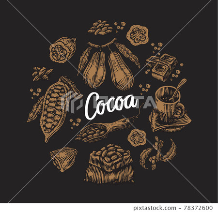 Set of Cocoa Elements - Stock Illustration [78372600] - PIXTA