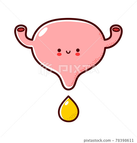 Cute happy funny human bladder organ character...-插圖素材 [78398611] - PIXTA圖庫