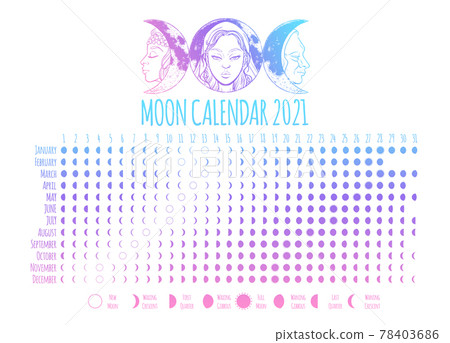 Moon calendar, 2021 year, lunar phases, cycles.... - Stock Illustration ...