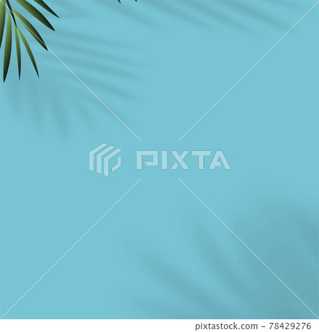 Summer background with shadow of tropical... - Stock Illustration ...