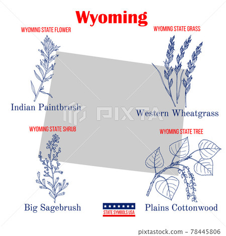 Wyoming. Set of USA official state symbols - Stock Illustration ...