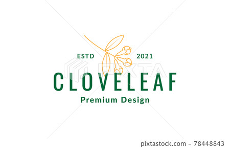 colorful clove vintage logo symbol vector icon... - Stock Illustration ...