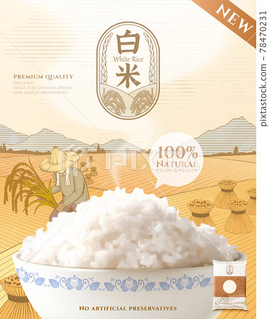 Template of rice product ad - Stock Illustration [78470231] - PIXTA