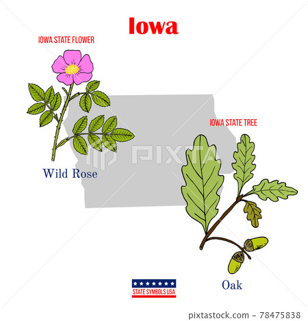 Iowa. Set of USA official state symbols - Stock Illustration [78475838 ...
