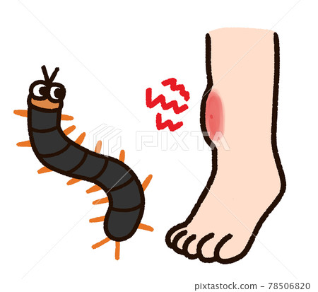 centipede, feet, paw - Stock Illustration [78506820] - PIXTA