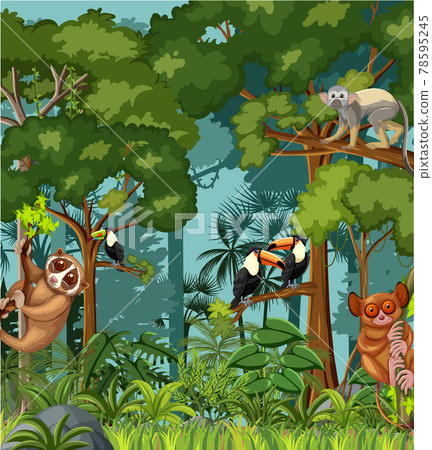Tropical rainforest scene with various wild... - Stock Illustration ...