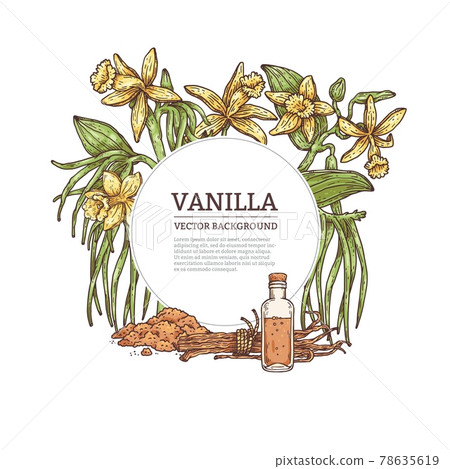 Vanilla background or frame with banner for... - Stock Illustration ...