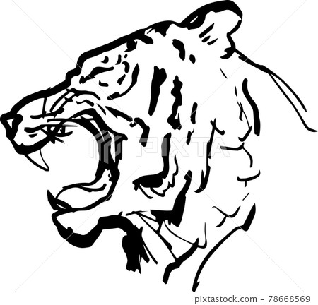 tiger, tigers, ink brush painting - Stock Illustration [78668569] - PIXTA