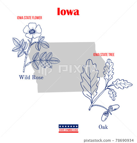 Iowa. Set of USA official state symbols - Stock Illustration [78690934 ...