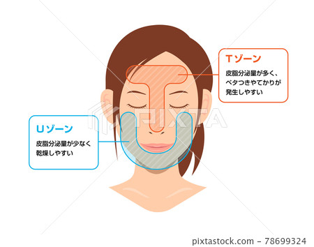 Illustrations of areas with high and low sebum... - Stock Illustration ...