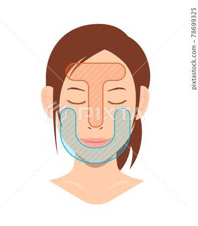 Illustrations of areas with high and low sebum... - Stock Illustration ...
