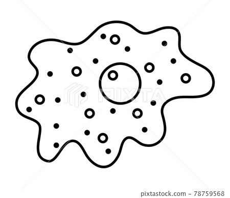 Amoeba - Stock Illustration [78759568] - PIXTA