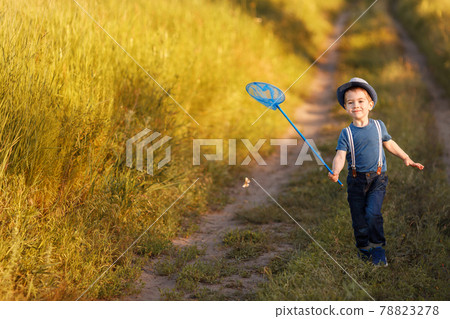 little boy catches butterflies with net on the... - Stock Photo ...