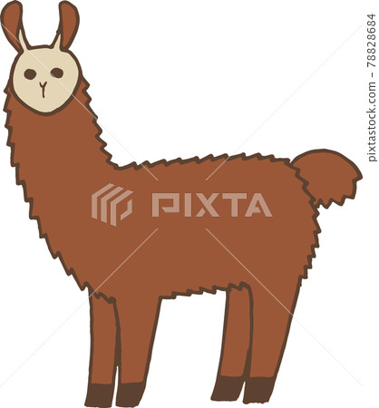 Llama - Stock Illustration [78828684] - PIXTA