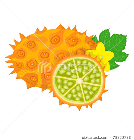 Fresh whole and half cut yellow kiwano fruit... - Stock Illustration ...