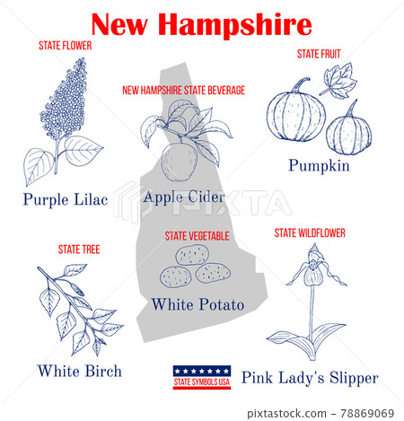 New Hampshire. Set of USA official state symbols - Stock Illustration ...