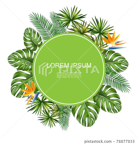 Realistic Tropical Natural Round Concept - Stock Illustration [78877833 ...