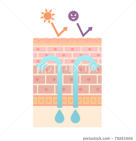 Skin condition Cross-sectional view of the skin... - Stock Illustration ...