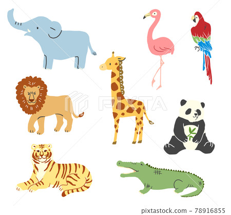 Zoo animal simple illustration set - Stock Illustration [78916855] - PIXTA