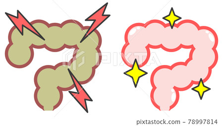 Types of healthy and unhealthy intestines in... - Stock Illustration ...