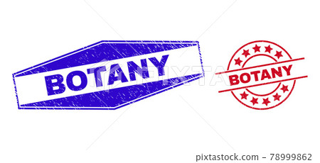 BOTANY Grunged Badges in Round and Hexagon Shapes - Stock Illustration ...