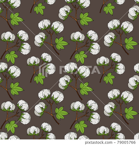 Cotton plant floral seamless pattern - Stock Illustration [79005766 ...
