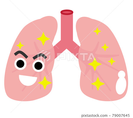 Illustration of healthy and beautiful lungs of... - Stock Illustration ...