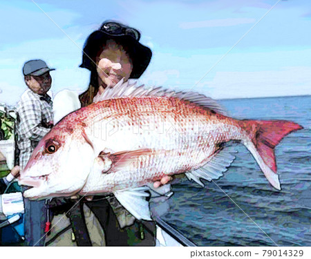 sea bream, snapper, tai - Stock Illustration [79014329] - PIXTA
