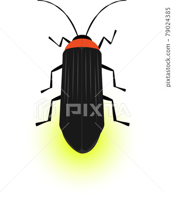 Simple firefly - Stock Illustration [79024385] - PIXTA