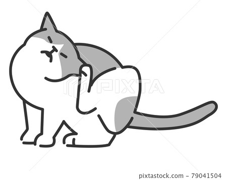 Cat with itchy ears - Stock Illustration [79041504] - PIXTA