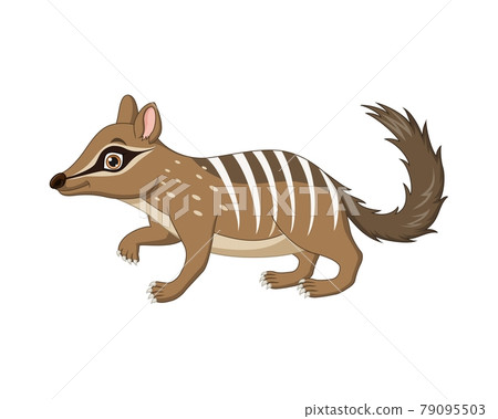 Cartoon funny numbat on white background - Stock Illustration [79095503 ...