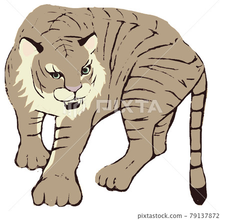 Standing tiger (Sumi) - Stock Illustration [79137872] - PIXTA