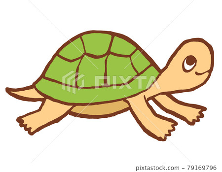 一隻烏龜的可愛手繪插圖-插圖素材 [79169796] - PIXTA圖庫