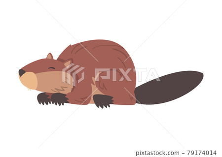 Cute Funny Brown Beaver Wild Rodent Animal... - Stock Illustration ...