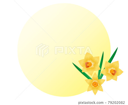 Yellow daffodil vector illustration - Stock Illustration [79202082] - PIXTA