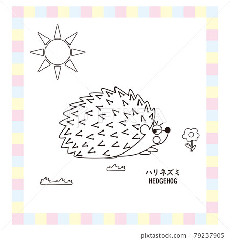 Cute animal series line drawing hedgehog - Stock Illustration [79237905 ...