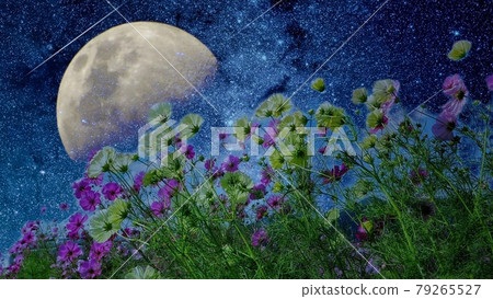 Graphic cosmos - Stock Illustration [79265527] - PIXTA