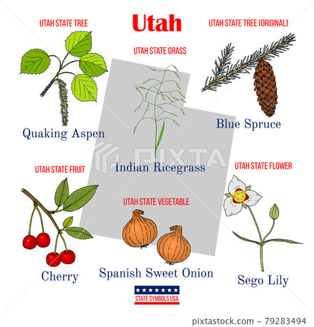 Utah. Set of USA official state symbols - Stock Illustration [79283494 ...