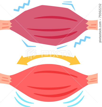 Image of strong muscles and supple muscles - Stock Illustration ...