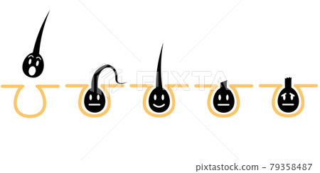 Hair reaction - Stock Illustration [79358487] - PIXTA