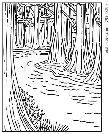 Redwood Forest Coloring Page