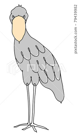 Shoebill line drawing - Stock Illustration [79439982] - PIXTA