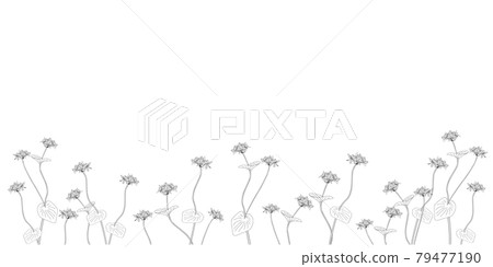 Buprelium background_bottom (line drawing) - Stock Illustration ...