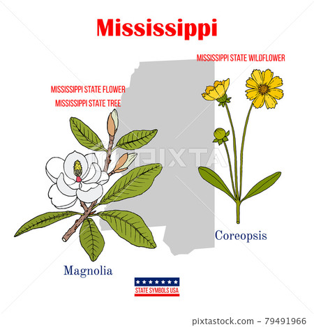 Mississippi. Set of USA official state symbols - Stock Illustration ...