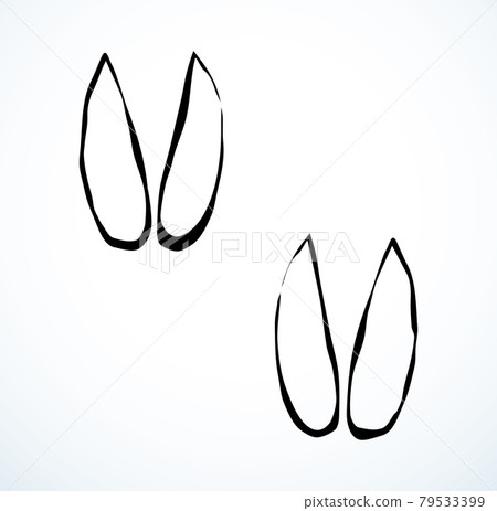 Sheep foot print. Vector drawing - Stock Illustration [79533399] - PIXTA