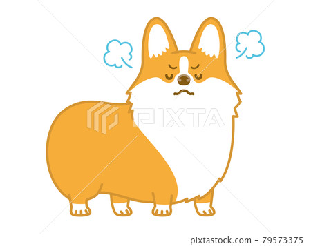 Angry Welsh Corgi - Stock Illustration [79573375] - PIXTA