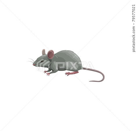 Mouse icon, pest control, rodents extermination - Stock Illustration ...