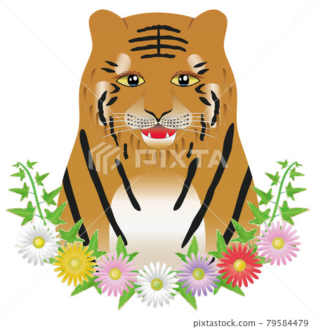 Tora-kun and Margaret Ivy - Stock Illustration [79584479] - PIXTA